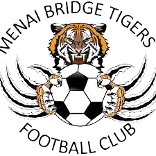 Treborth 3G - Stadion in Bangor, Gwynedd